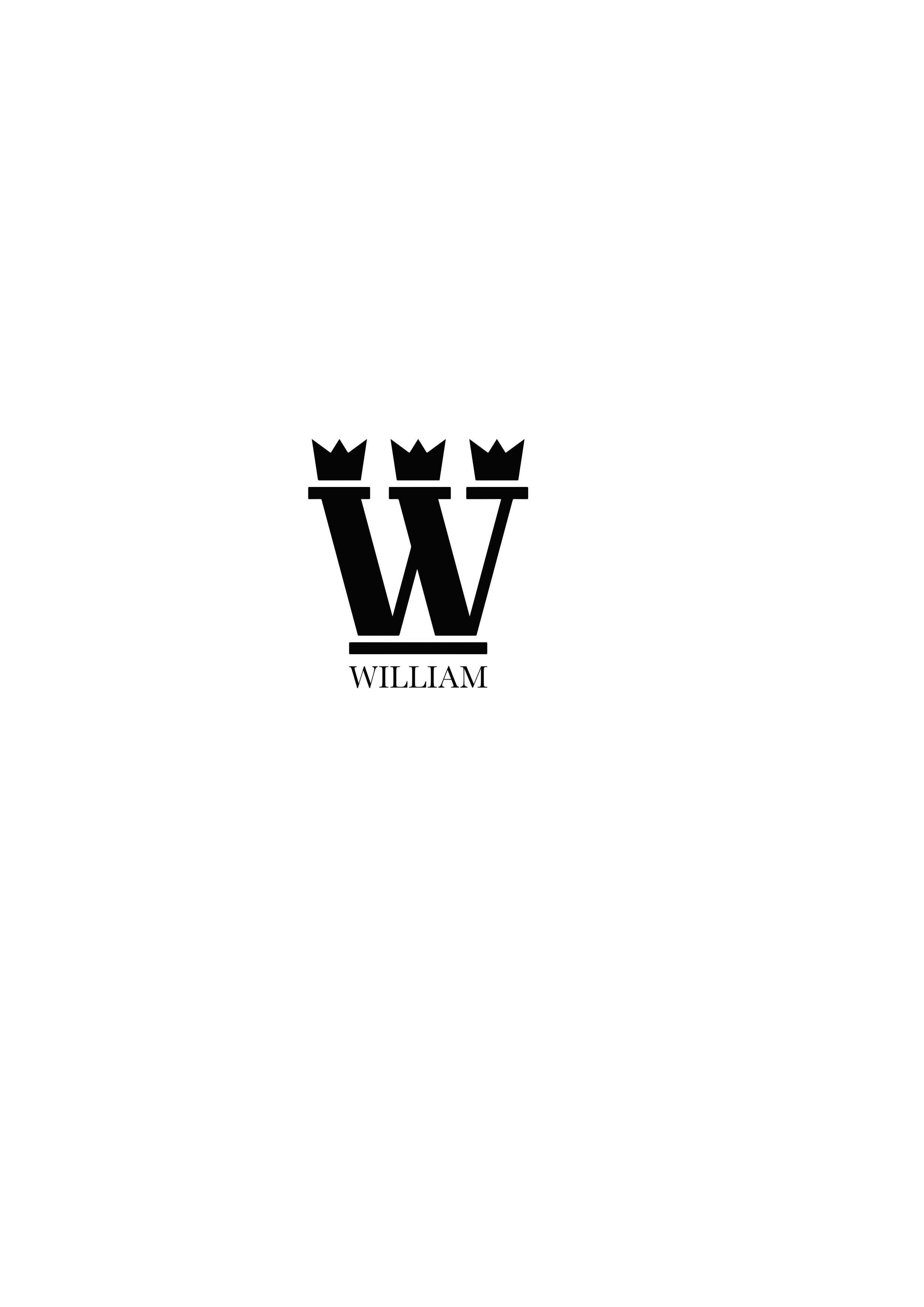 WILLIAM Streetwear for Kings & Queens